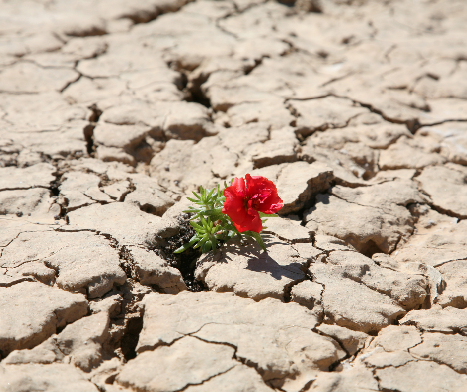 Faire Face à la Réalité : Comprendre le Déni chez les Familles Touchées ...